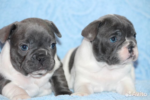 Мальчик И девочка