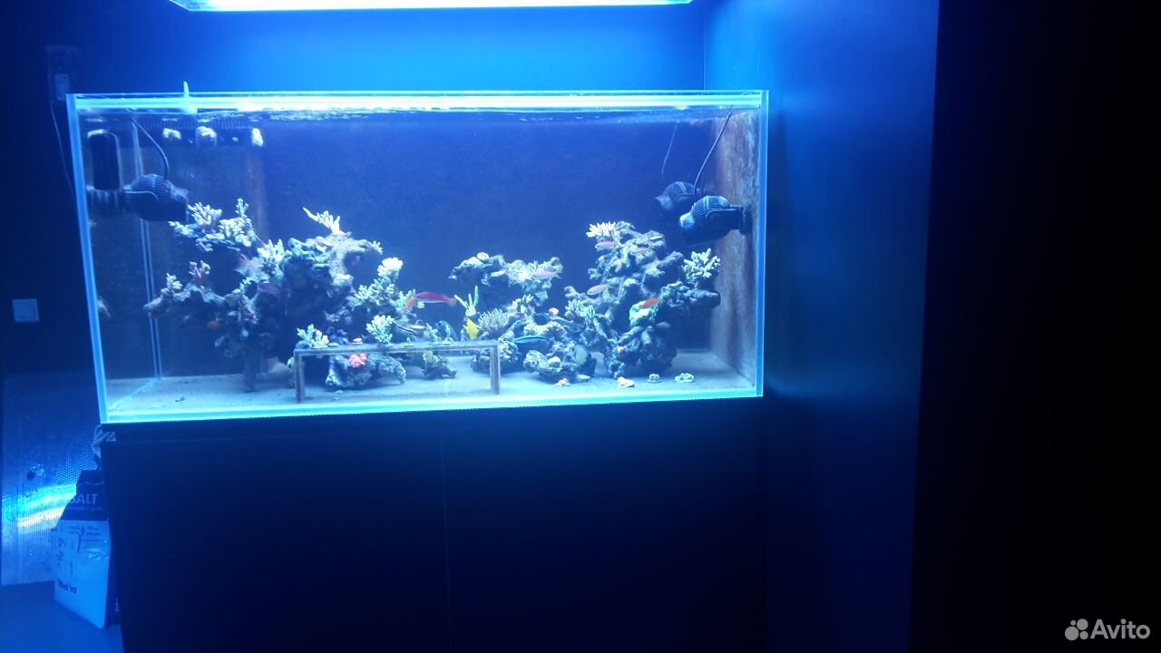 Продам готовый морской аквариум