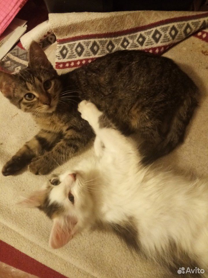 Маленькие очаровашки