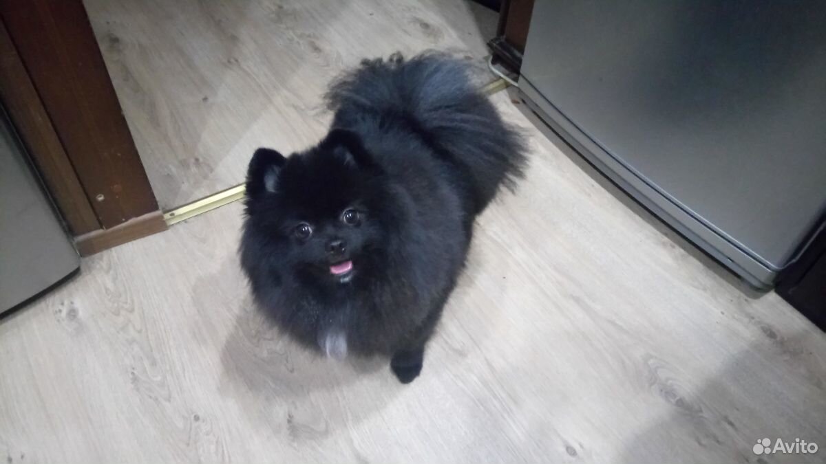 Ищем невесту