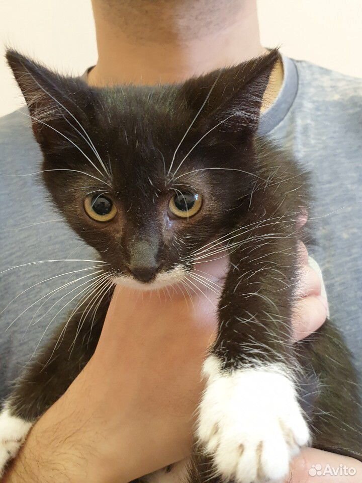 Оливка ждет маму