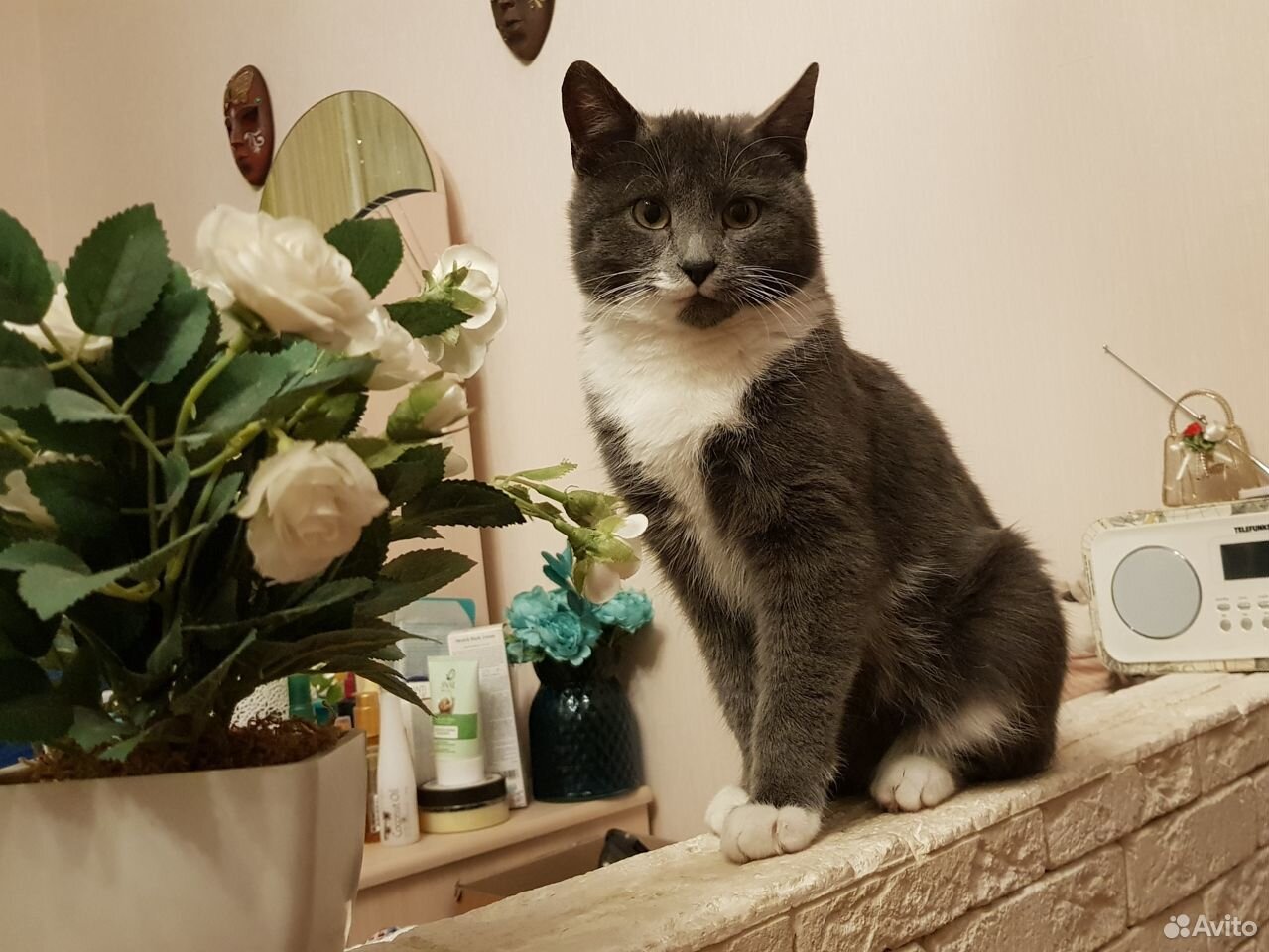 Добрый и ласковый мальчик Лаки