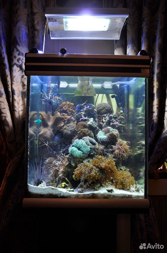 Продам аквариум Aquatlantis Evasion 50 на 140л