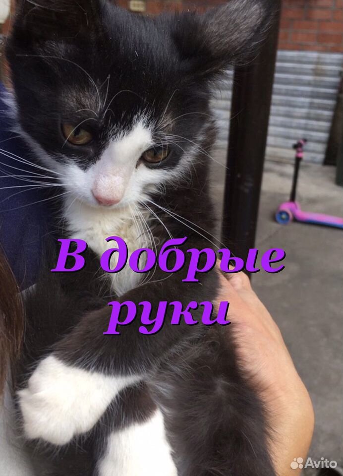 Чудесный ребёнок в добрые руки