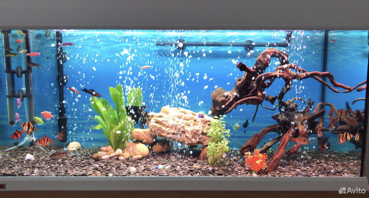 Аквариум eheim 180ltr