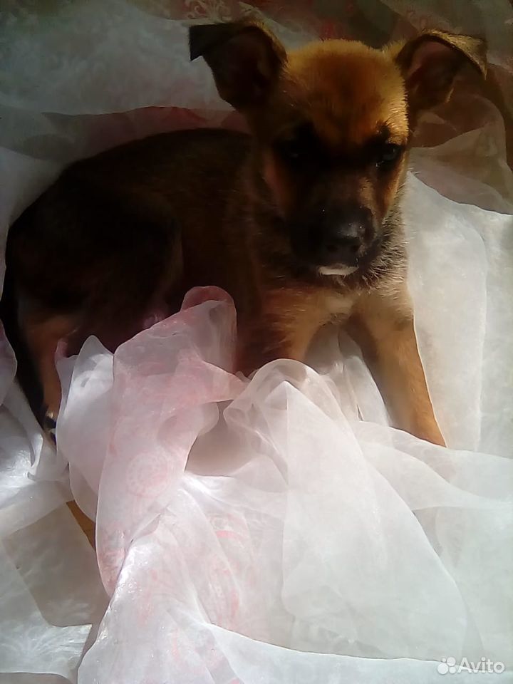 Малышка на миллион)