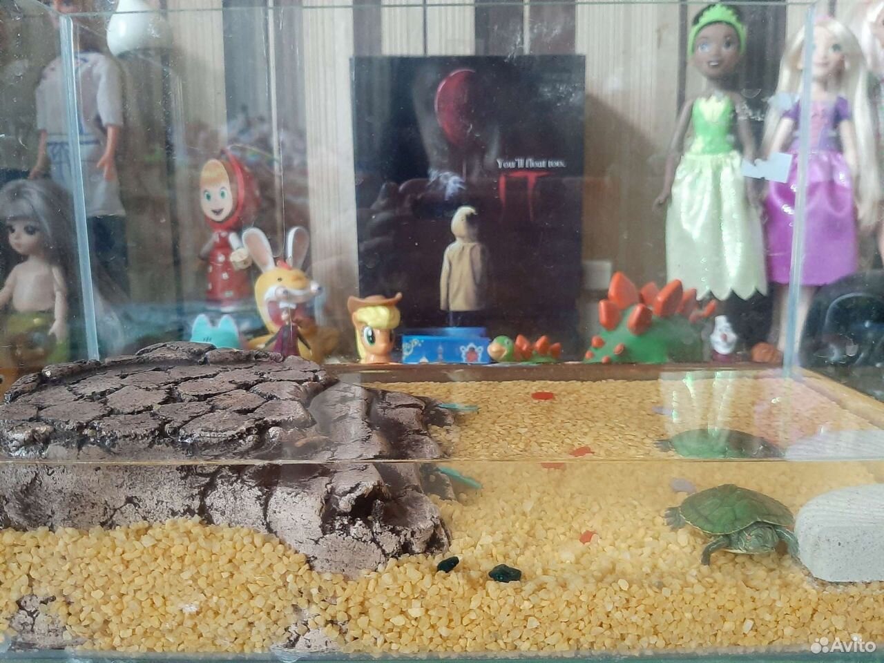 Красноухая черепашка