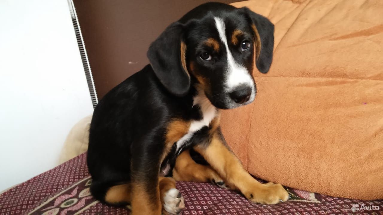 Смелая и игривая девочка