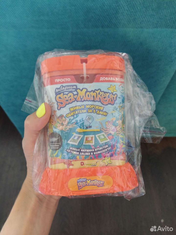 Аквариум Sea-Monkeys