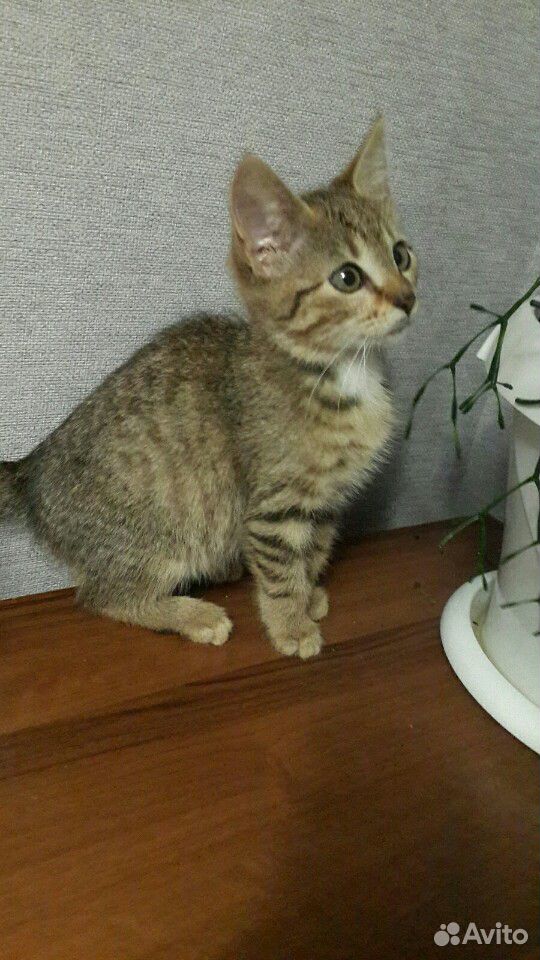 Крошка 2 месяца