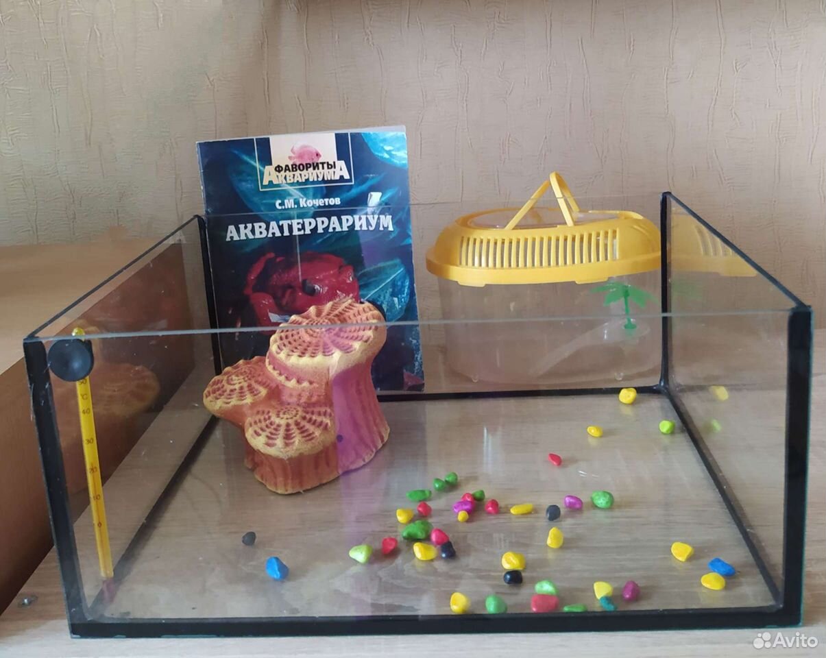 Аквариум