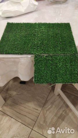 Черепашник