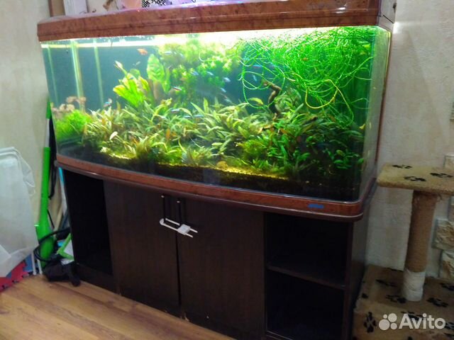Аквариум jebo R3150B 400 л. со всеми его жителями