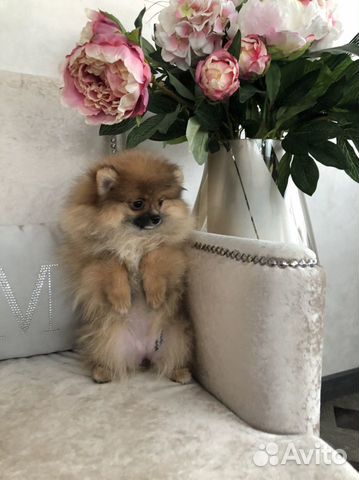 Микро помочка