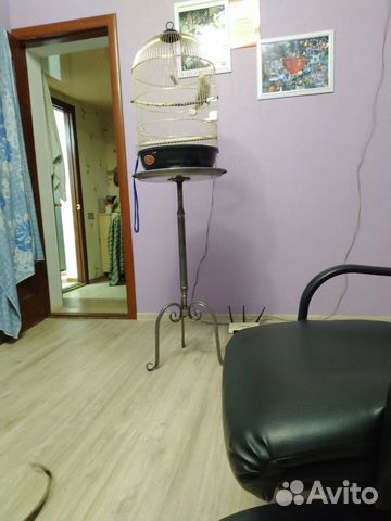 Продам говорящего попугайчика Корелла