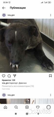 SOS,вопрос жизни и смерти,время идет на часы