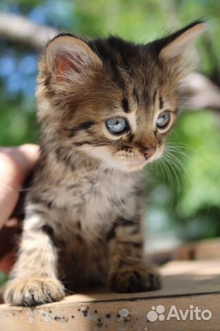 Маленькая девочка