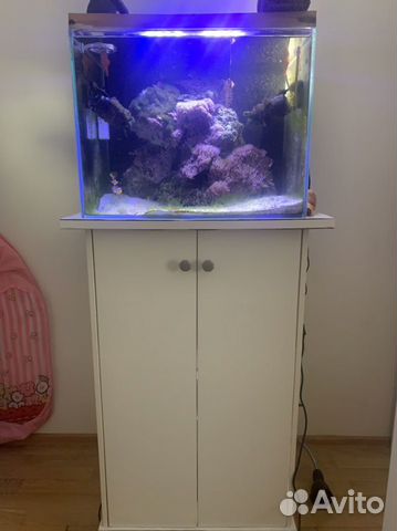 Морской аквариум