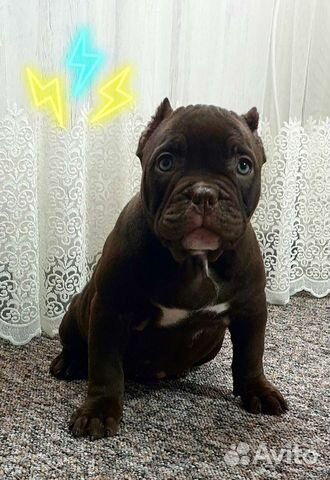 Девочка булочка