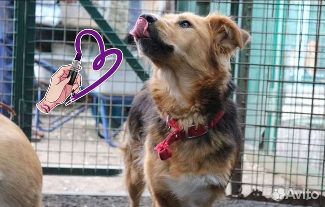 Мотя, возьмите в семью бедную девочку