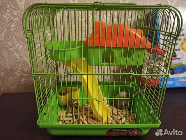 Хомяк с клеткой