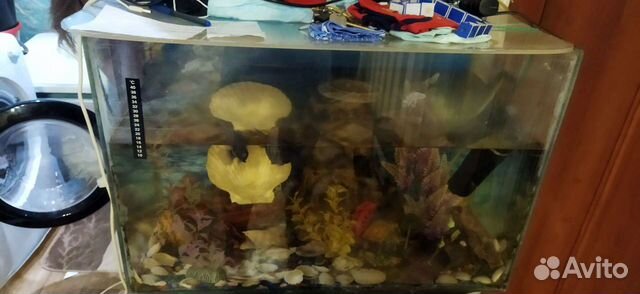 Аквариум с рыбками