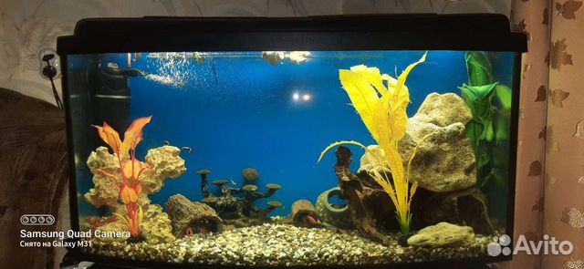 Аквариум