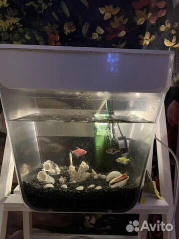 Готовый аквариум акваферма с рыбками