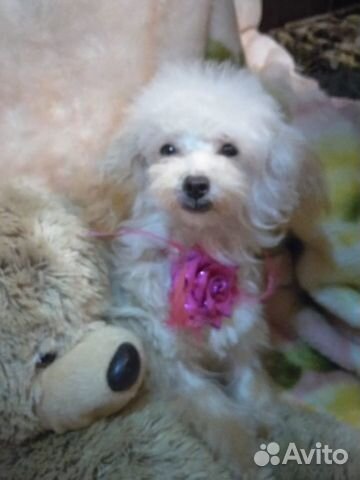 Микро девочка