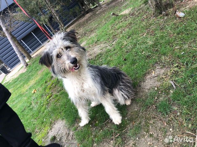 Нюша в хорошую семью