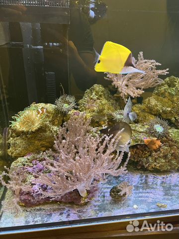 Продам аквариум