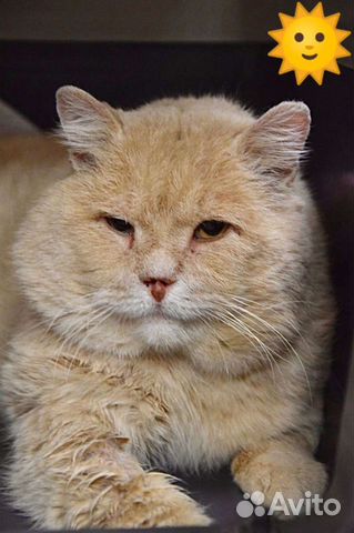 Мне так нужна семья