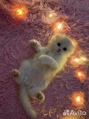 Пушистое облако с документами