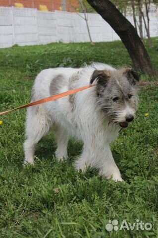 Не известно сколько осталось жить