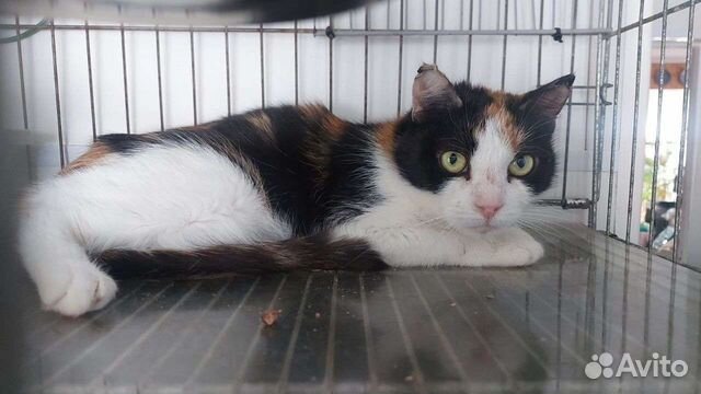 Борись и верь. Несмотря ни на что