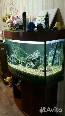 Панорамный аквариум 450 л торг