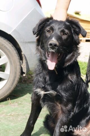 Михаил Потапович