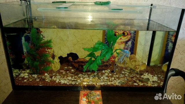 Аквариум