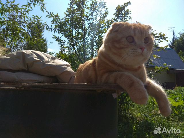 Вязка