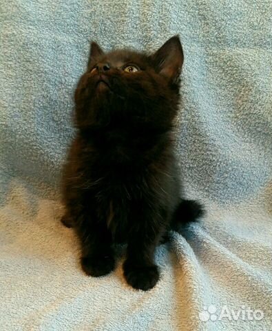 Девочка 2 месяца