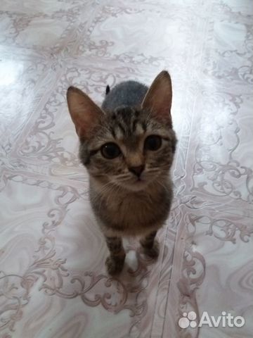 Милые очаровашки