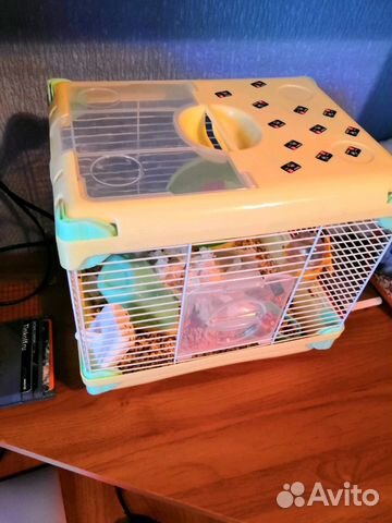 Отдам джунгарика - хомяк