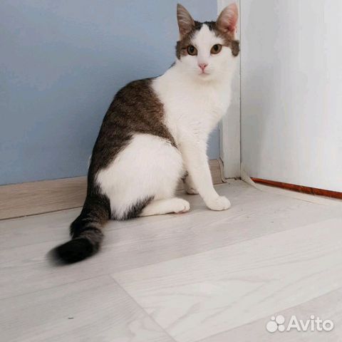 Бонни ищет семью