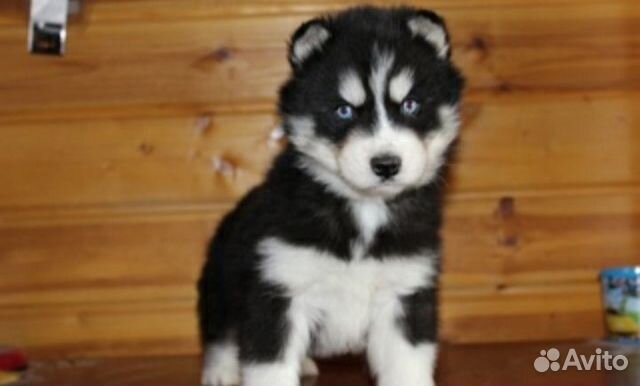 Брутальный парень