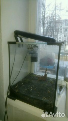 Аквариум 20 л акваэль