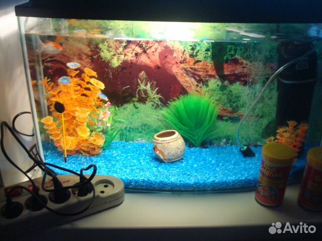 Аквариум-телевизор 45л