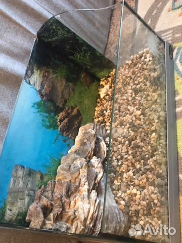 Аквариум для водных черепах Ferplast