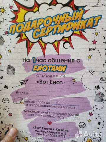 Час с енотами