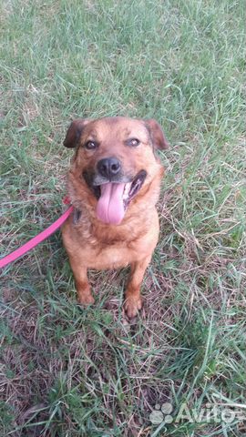 Красивый и добрый очаровашка