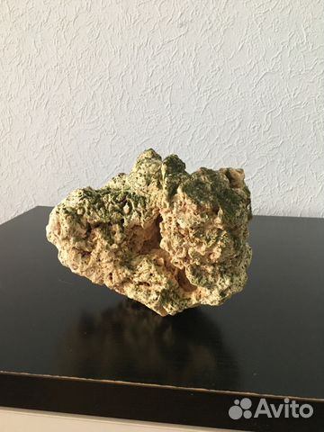 Ракушечник в аквариум